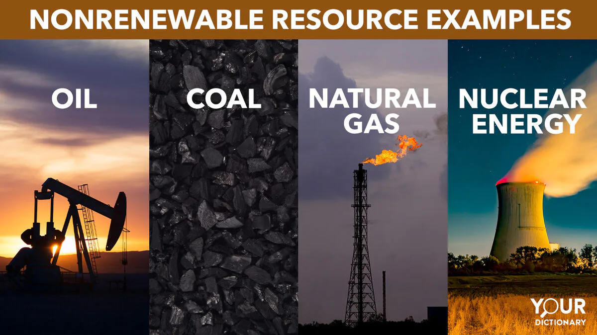 Unit 3 Lesson 3 - Nonrenewable Resources 7th Grade Quiz | Quizizz