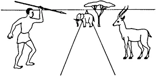 QCAA Psychology - Hudson (1960) Quiz