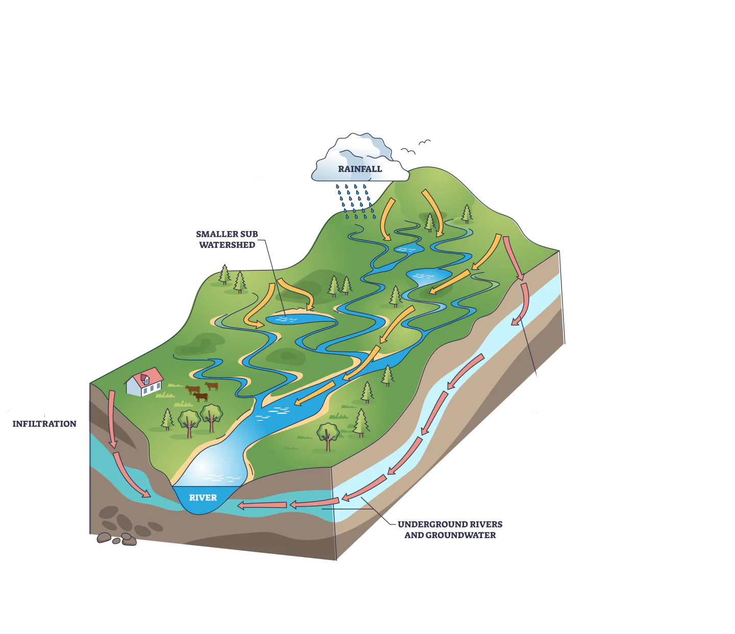 Virginia Natural Resources and Watersheds Quiz