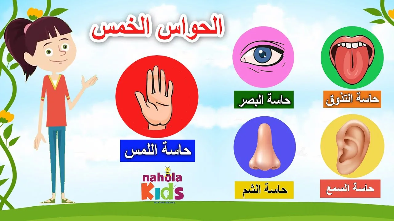 The Five Senses Quiz