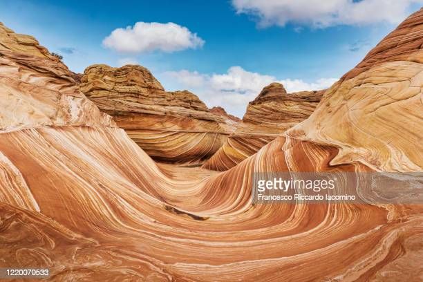 Sedimentary Rock & Fossil Fuel Formation Checkpoint 5th Grade Flashcard ...