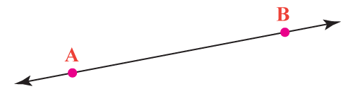 Basic Geometry Definitions Flashcards