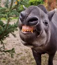 America EOY Quiz 25 Quiz