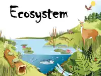 Organism Population Community Or Ecosystem Quiz Quizizz