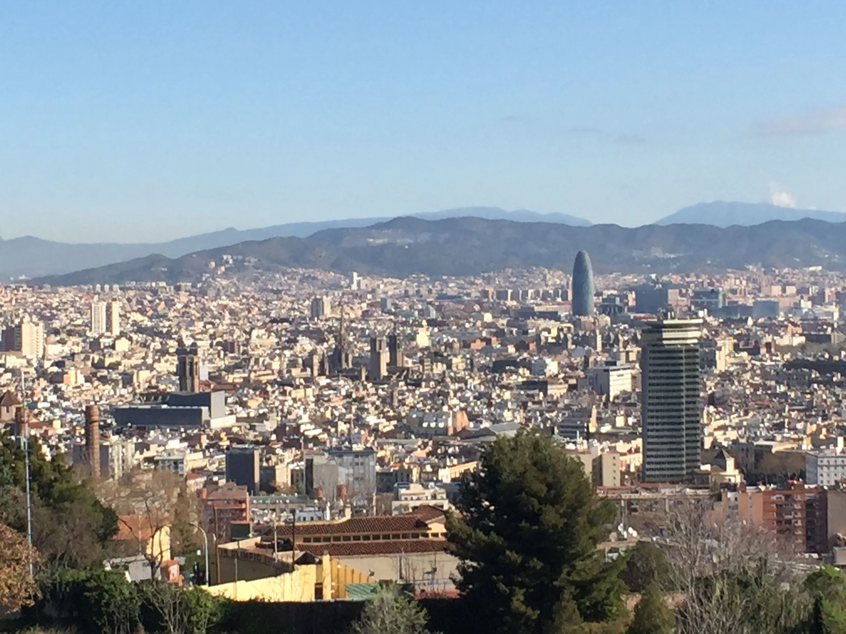 Industrial Revolution and Economic Ideologies Review Quiz