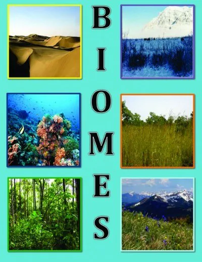 Science- Biomes and Habitats Quiz