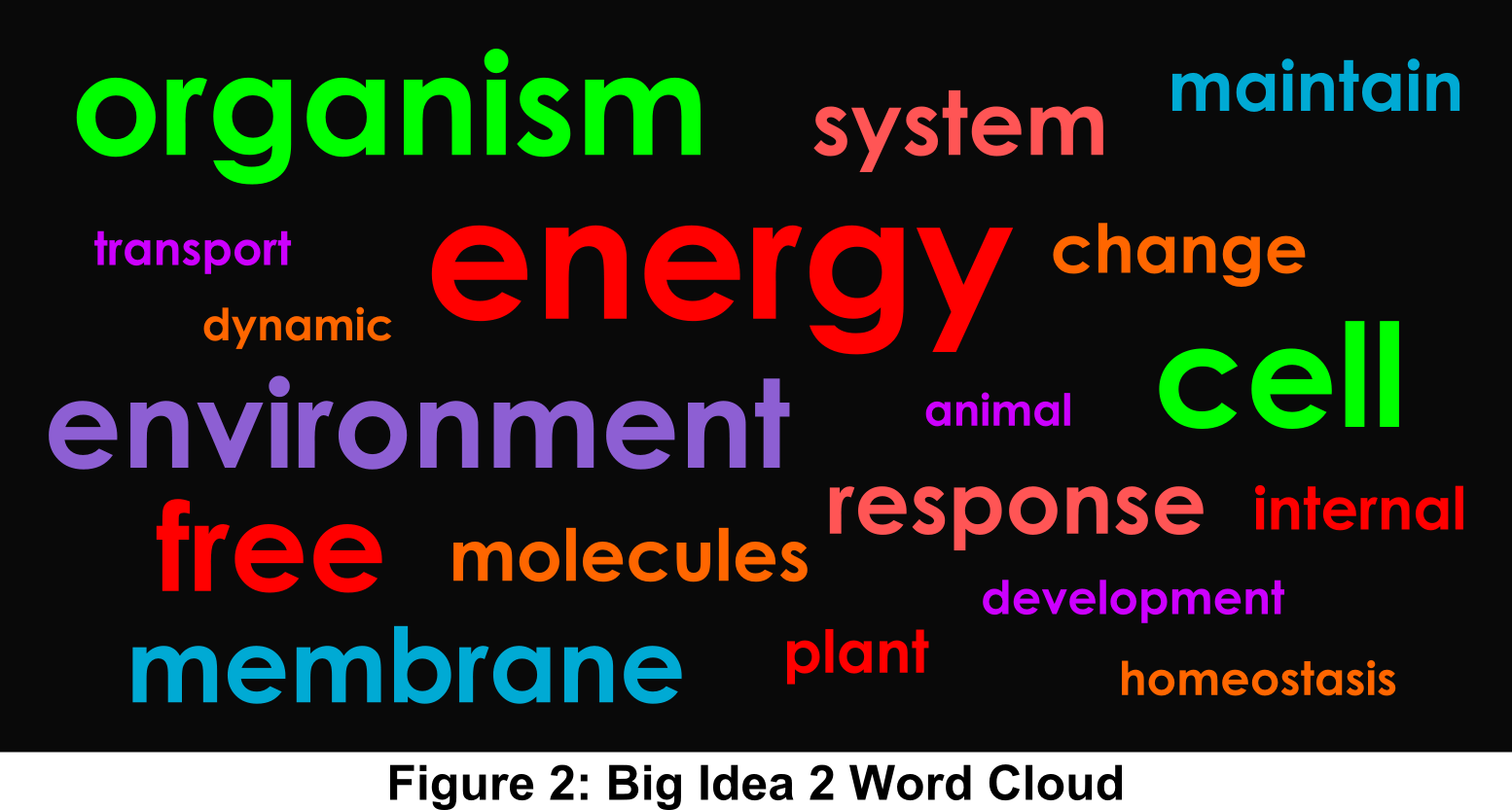 AP Bio Big Idea 2 Review 9th - 12th Grade Flashcard | Wayground ...