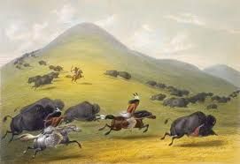 Great Plains Native Americans - Assessment