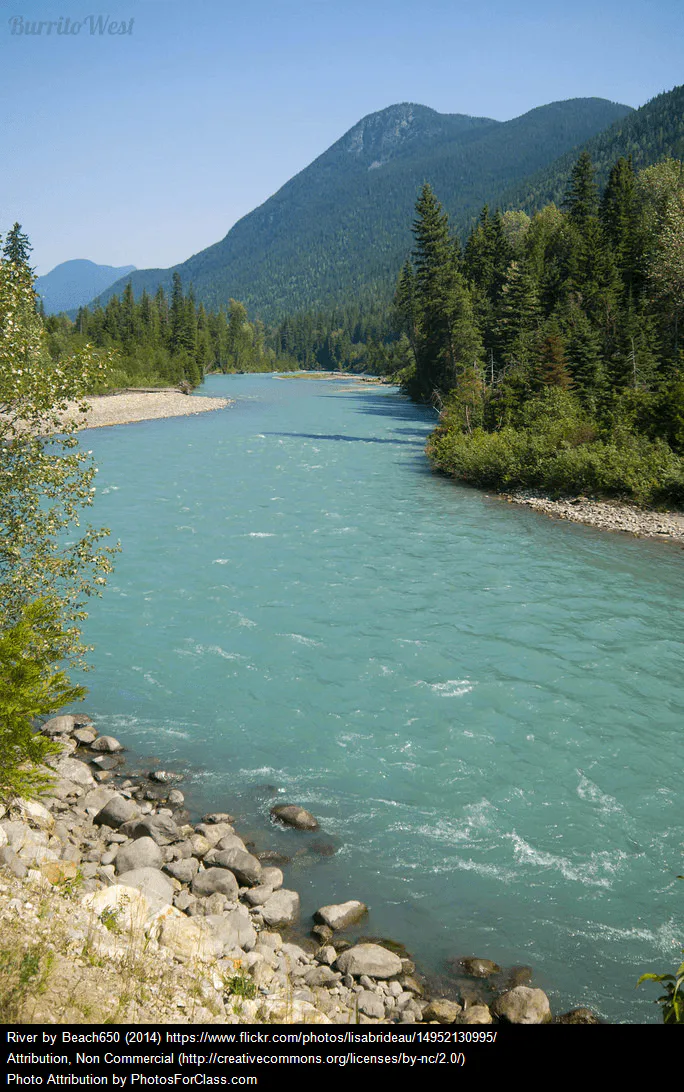 11b. Water and Air Pollution Review KG - University Quiz | Quizizz