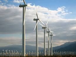 Ecology Review 6th Grade Flashcard | Wayground