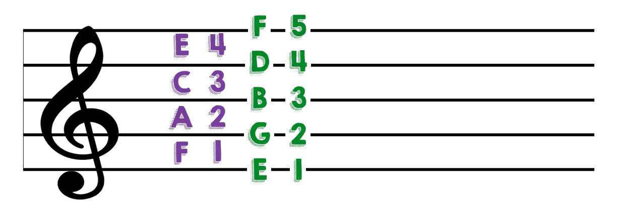Treble Clef Notes Names 3rd - 12th Grade Quiz | Wayground