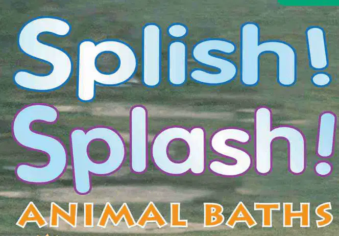 Splish Splash Vocabulary Quiz