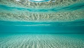 Landforms and Oceans Unit Post Test 3rd - 6th Grade Quiz | Wayground ...